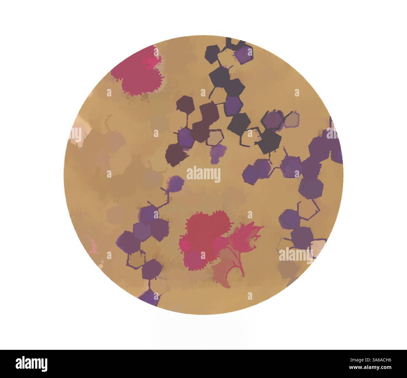 Microscopic view of interconnected biological structures hi-res stock ...