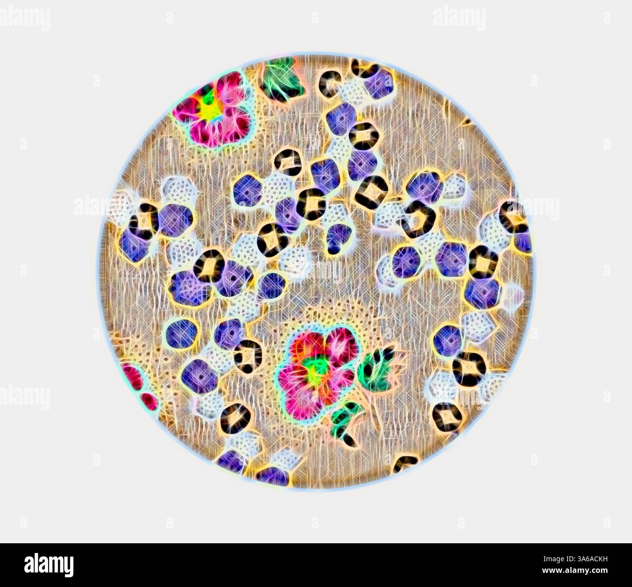 A vibrant microscopic view of interconnected cellular structures ...