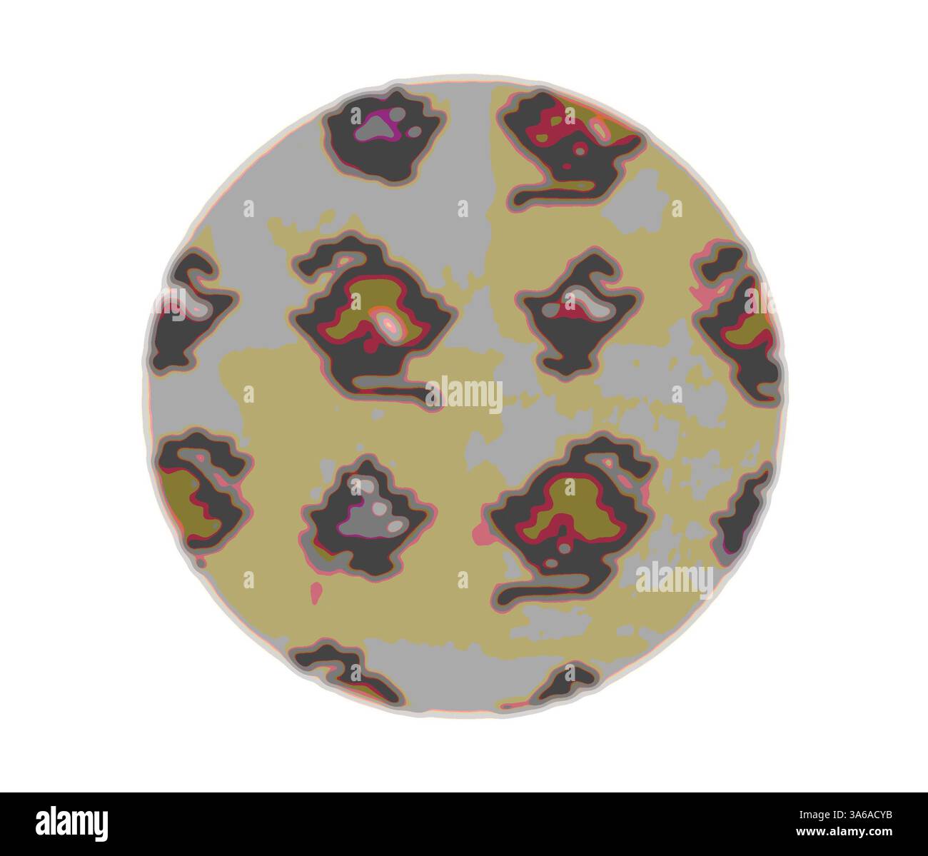 Mottled patches Cut Out Stock Images & Pictures - Alamy