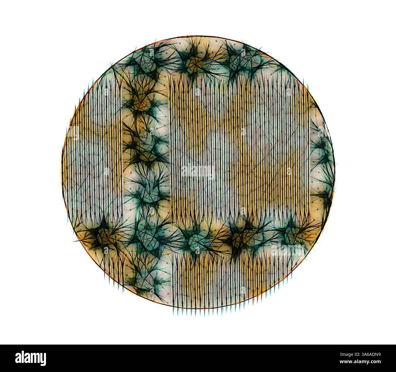 Intricate fractal patterns display hi-res stock photography and images ...