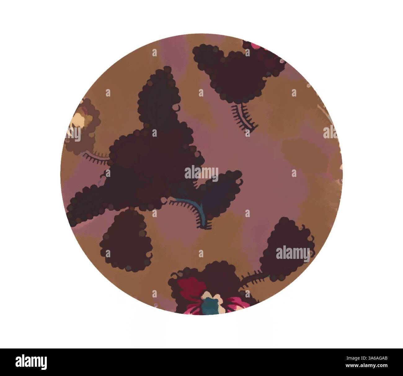 Blend of natural shapes Cut Out Stock Images & Pictures - Alamy