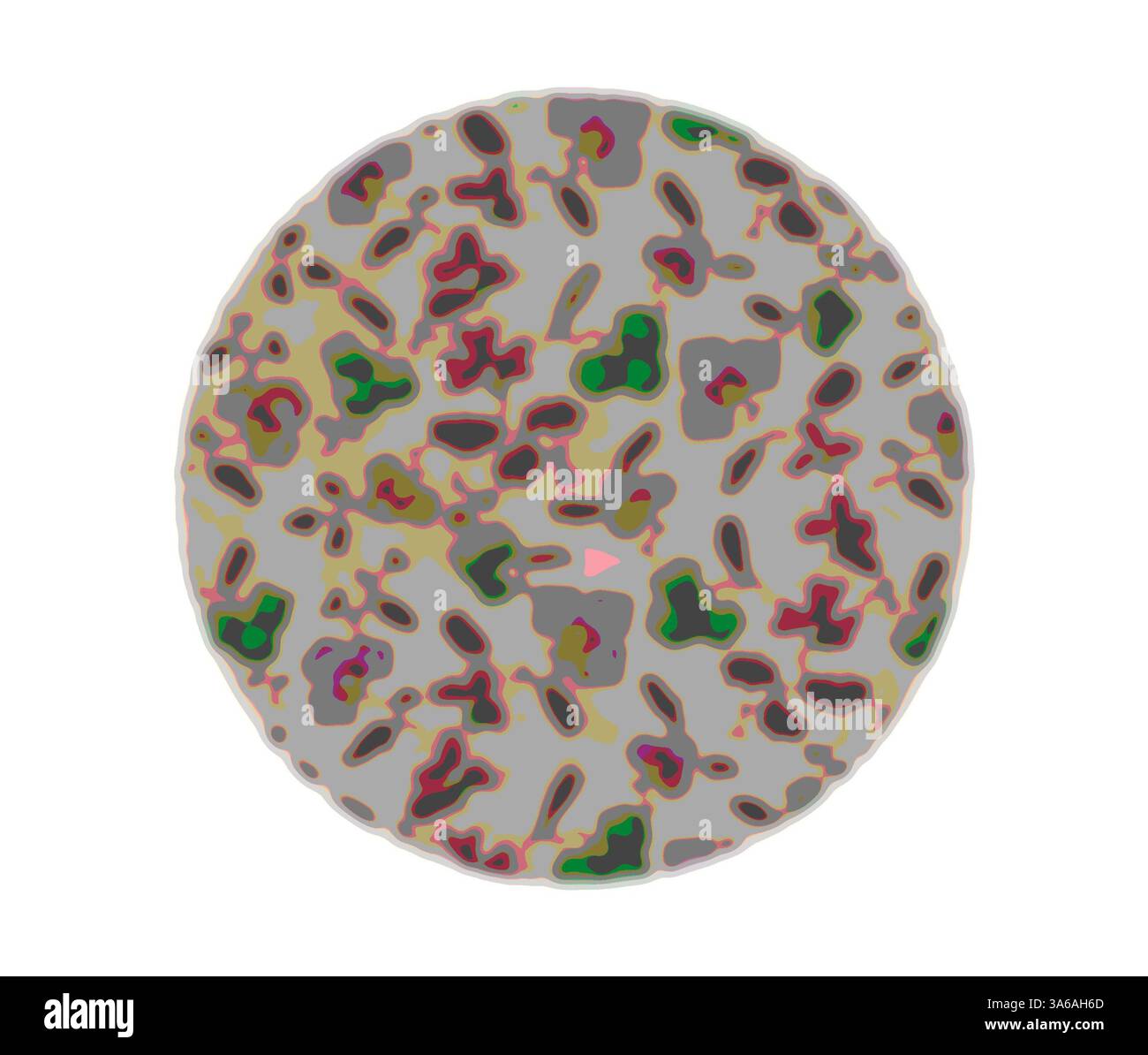 A circular composition featuring an abstract arrangement of varied ...