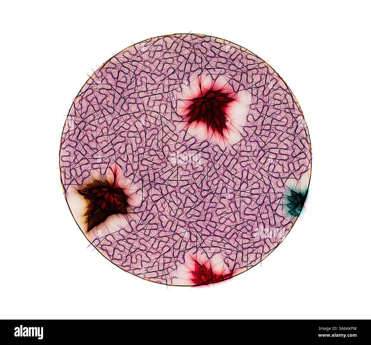 Microbial networks hi-res stock photography and images - Alamy