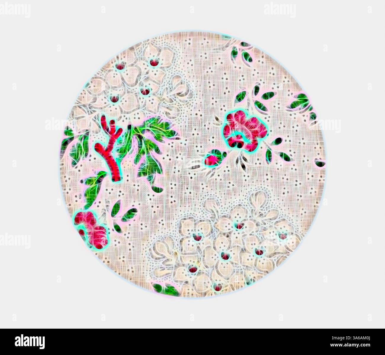 Lively yet elegant textile aesthetic hi-res stock photography and ...