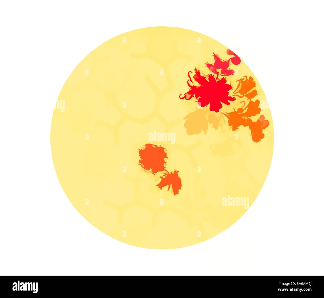 Abstract background gradient animation Cut Out Stock Images & Pictures ...