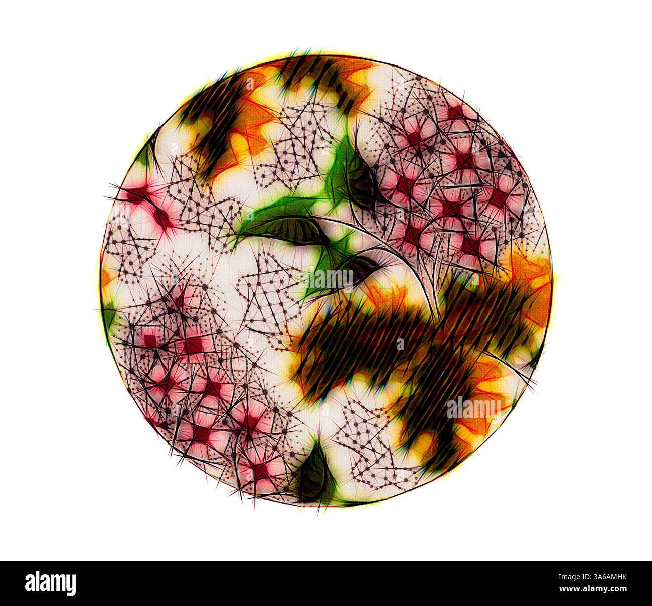 Abstract representation of floral patterns intertwining hi-res stock ...