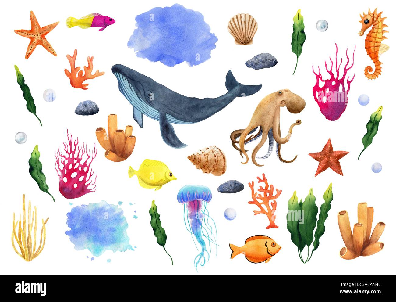 Large set with whale, octopus, seahorse, starfish, jellyfish, fish ...