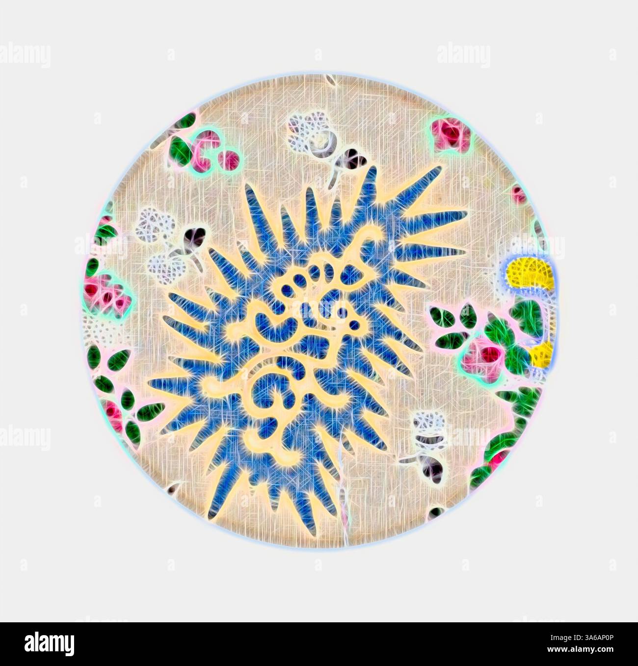 A decorative circular pattern featuring vibrant floral elements ...