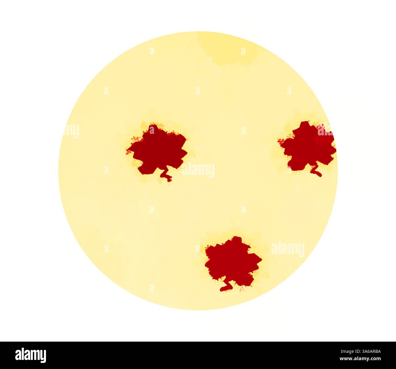 Featuring abstract representations of flowers hi-res stock photography ...