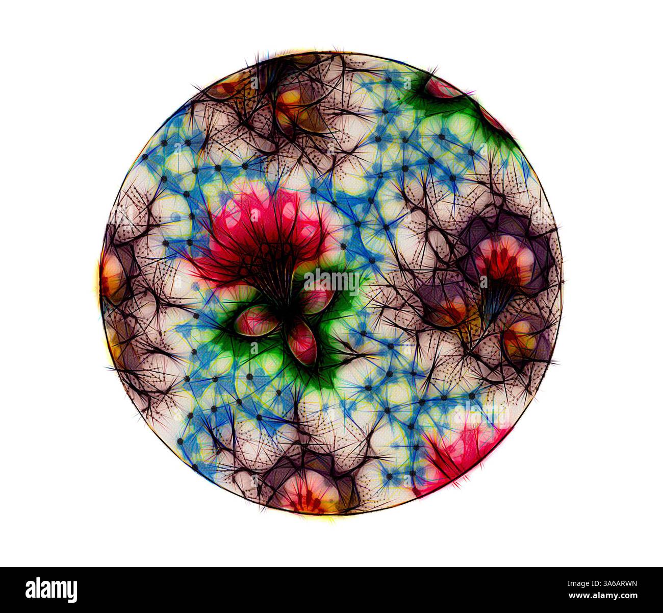 A vibrant circular design featuring intricate floral patterns ...
