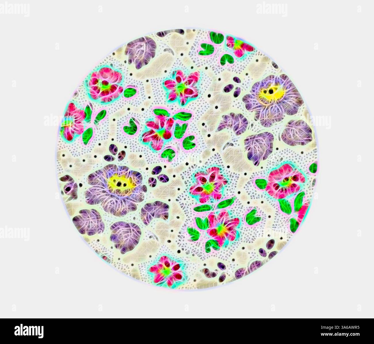 A vibrant circular pattern featuring an array of colorful floral ...