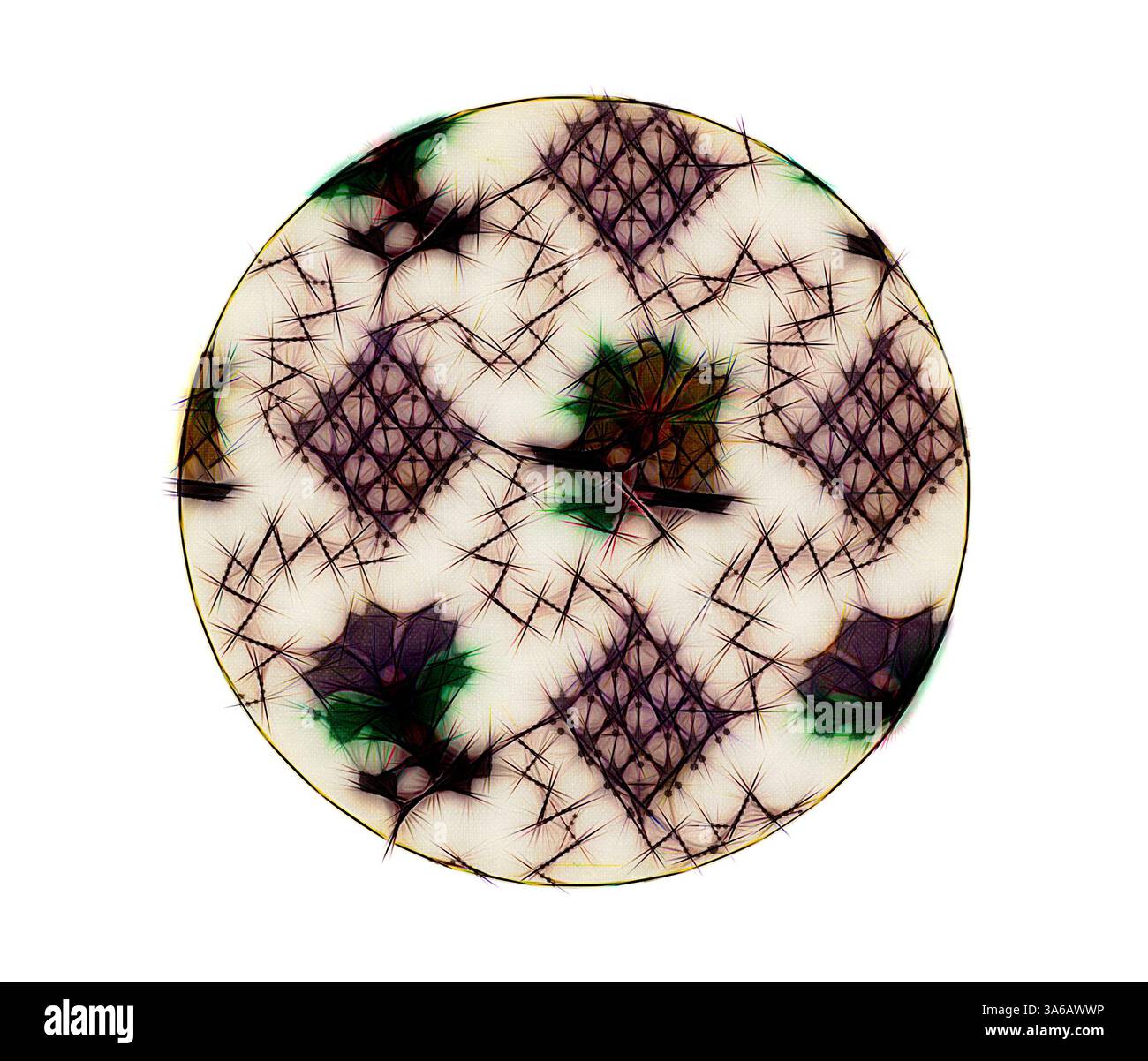 Intricate patterns of spiky forms hi-res stock photography and images ...