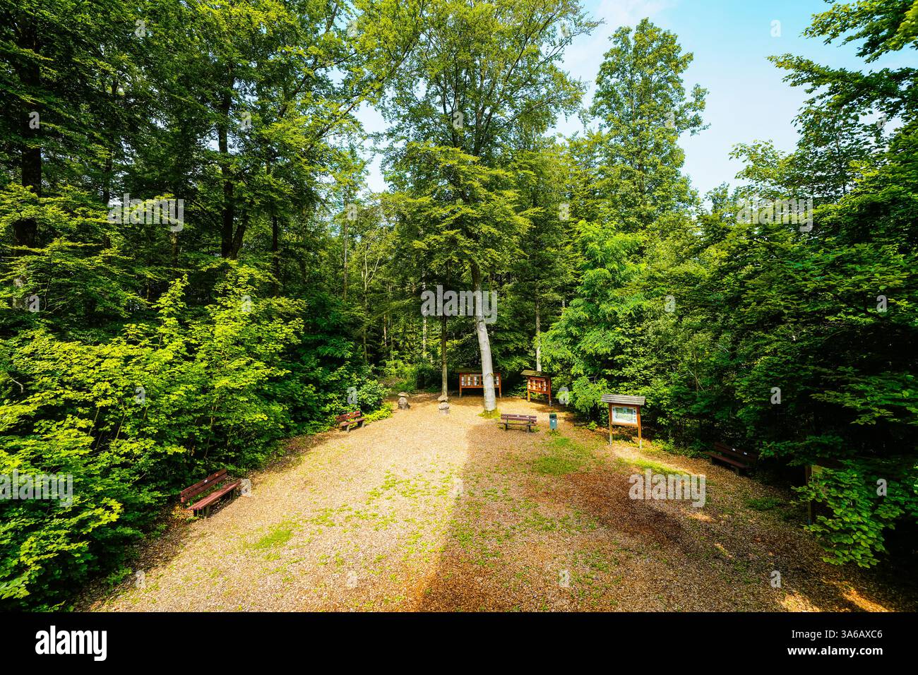Landscape on the Rehberg near Kulmbach. Path through the green forest ...