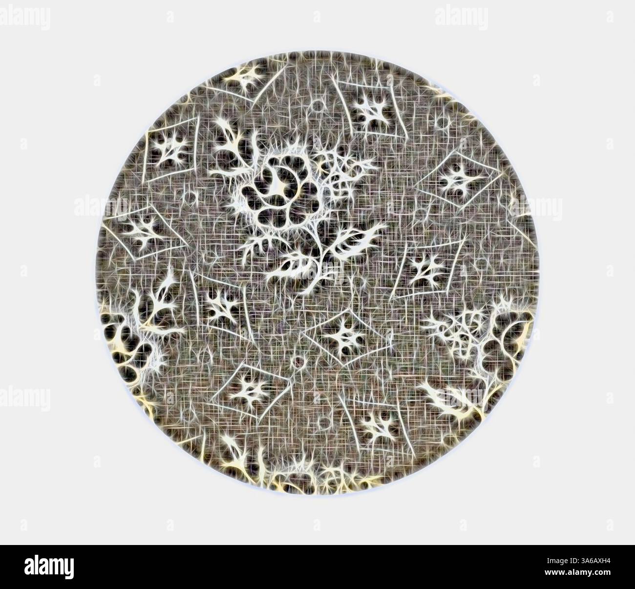 Intertwining patterns reminiscent of organic structures hi-res stock ...