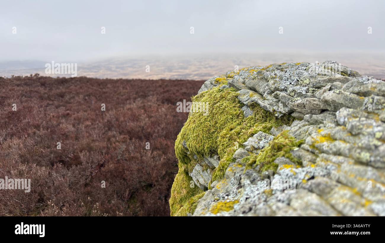 Windswept Scottish moorland and hills. Perthshire mountain range. Cnoc ...