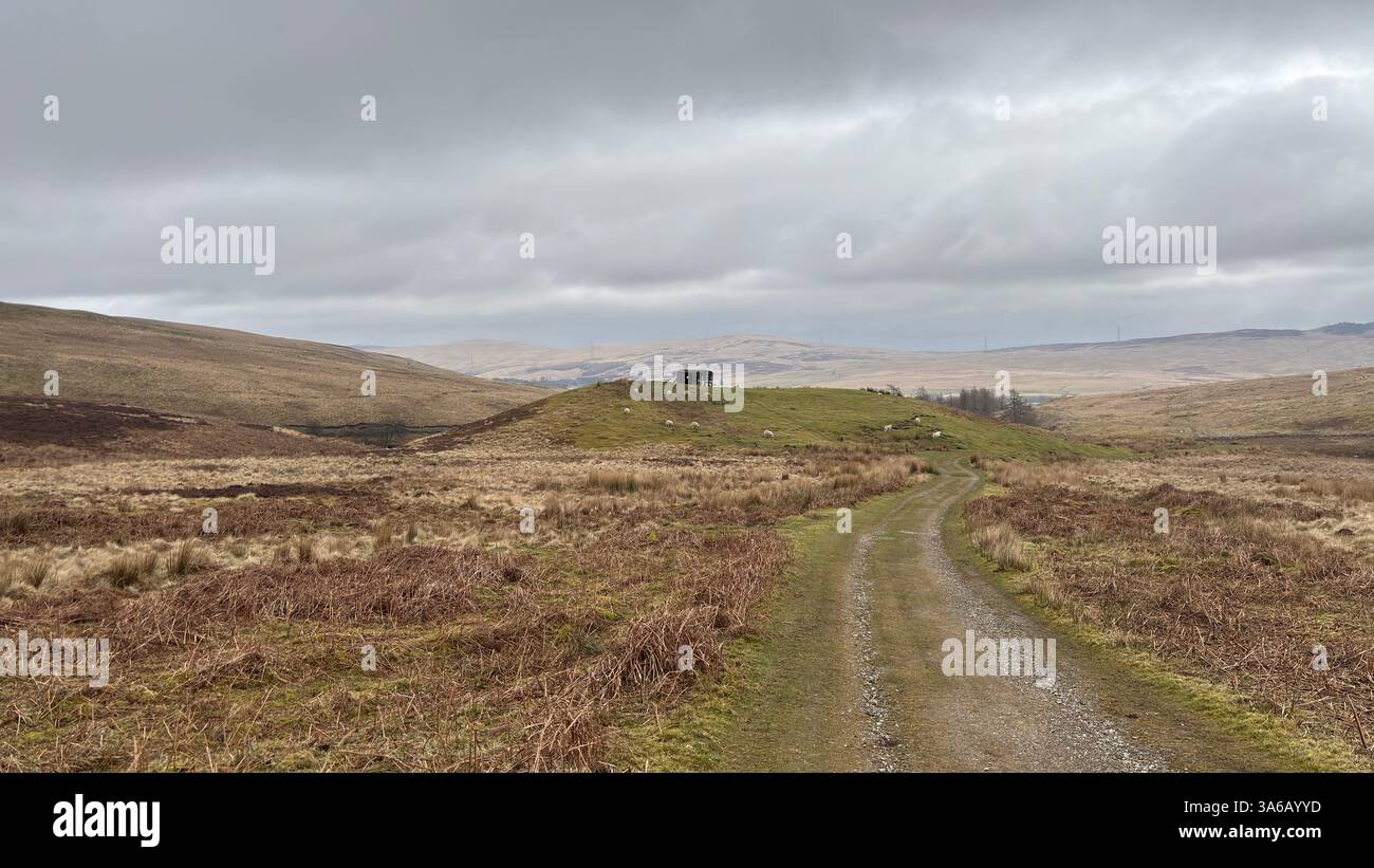 Windswept Scottish moorland and hills. Perthshire mountain range. Cnoc ...