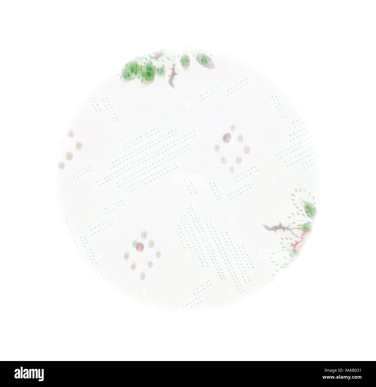 A round plate adorned with delicate floral and geometric patterns in ...