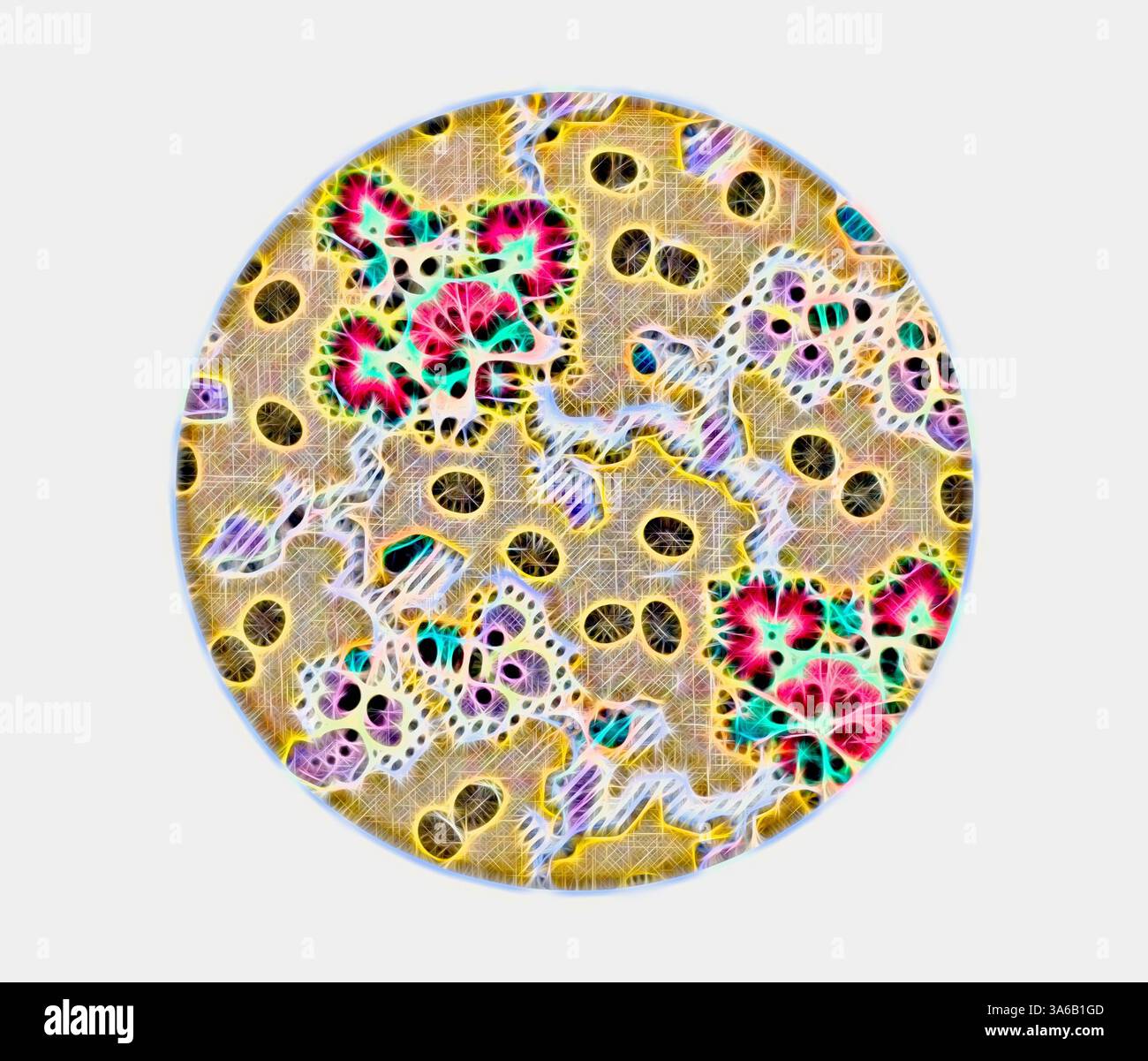 Microscopic view of organic structures hi-res stock photography and ...