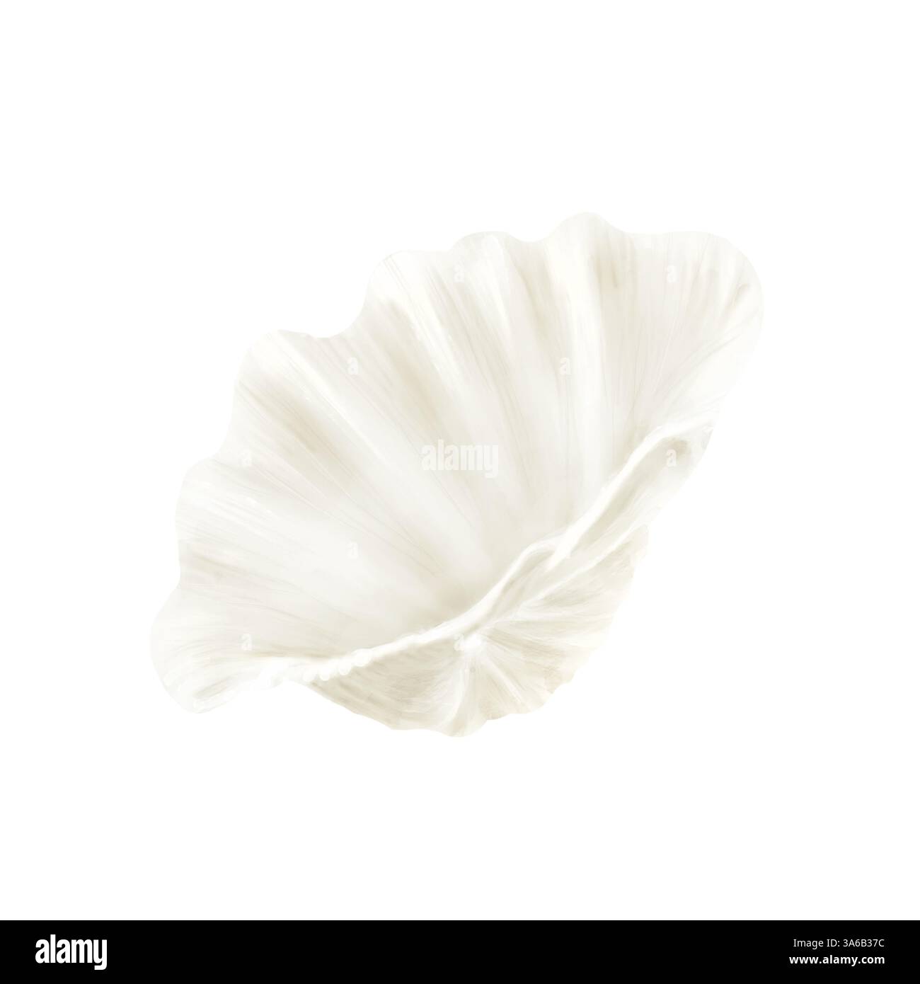 The shell of the hippopus clam. Digital watercolor illustration. Pearl ...