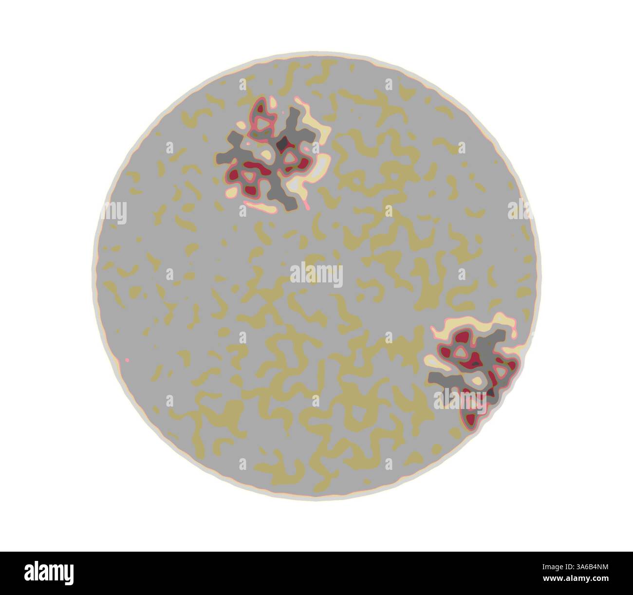 Irregular patches Cut Out Stock Images & Pictures - Alamy