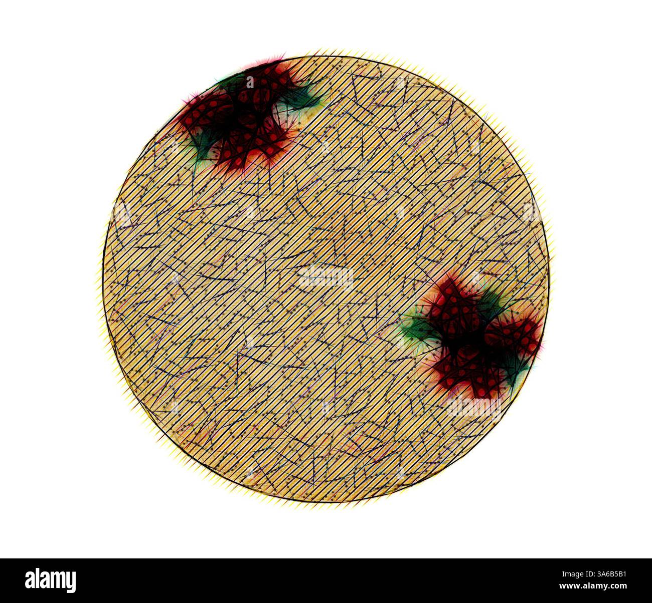 A circular representation featuring a textured surface with distinct ...