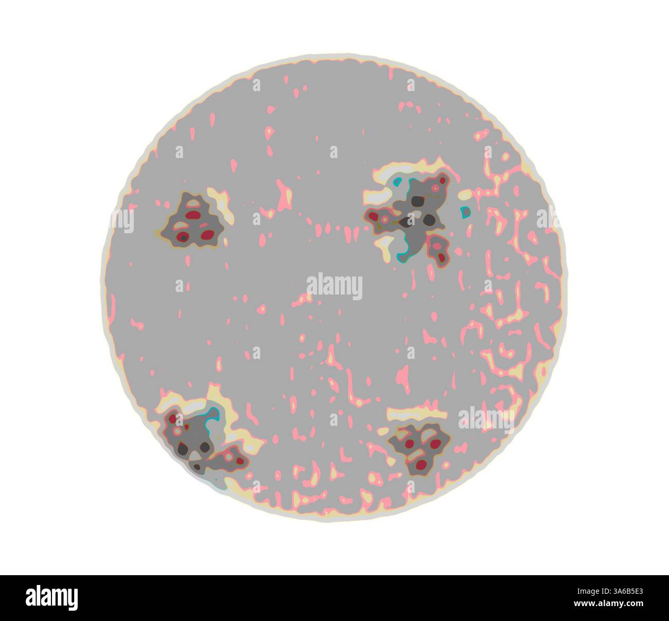 A circular object featuring a textured surface with scattered dark ...