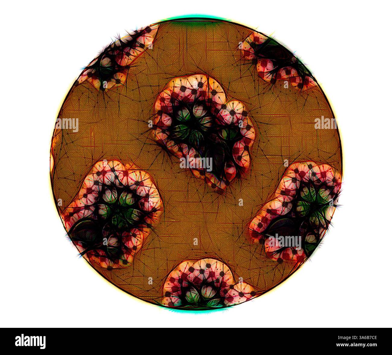 A circular arrangement of intricate patterns featuring organic shapes ...