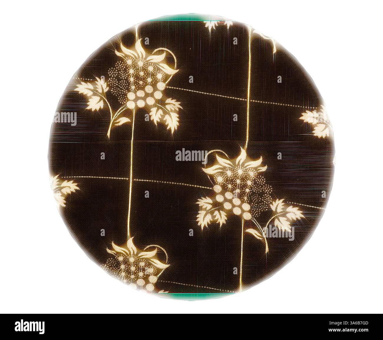 Elegant grapevine designs hi-res stock photography and images - Alamy