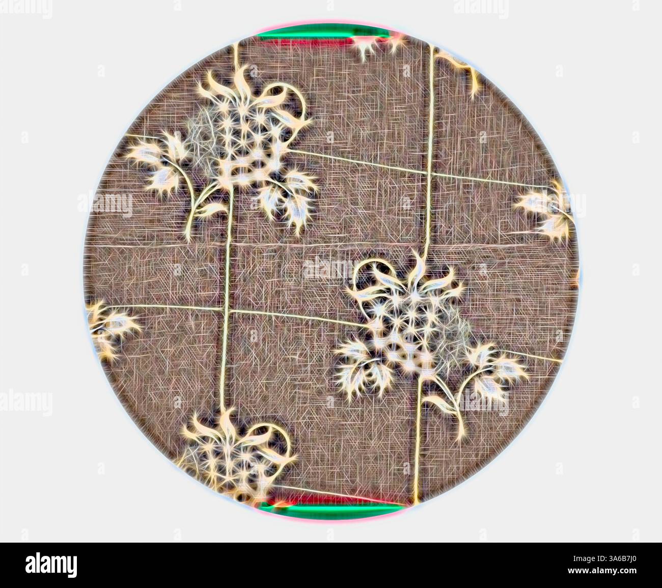 An ornate fabric pattern featuring delicate floral motifs, intricately ...