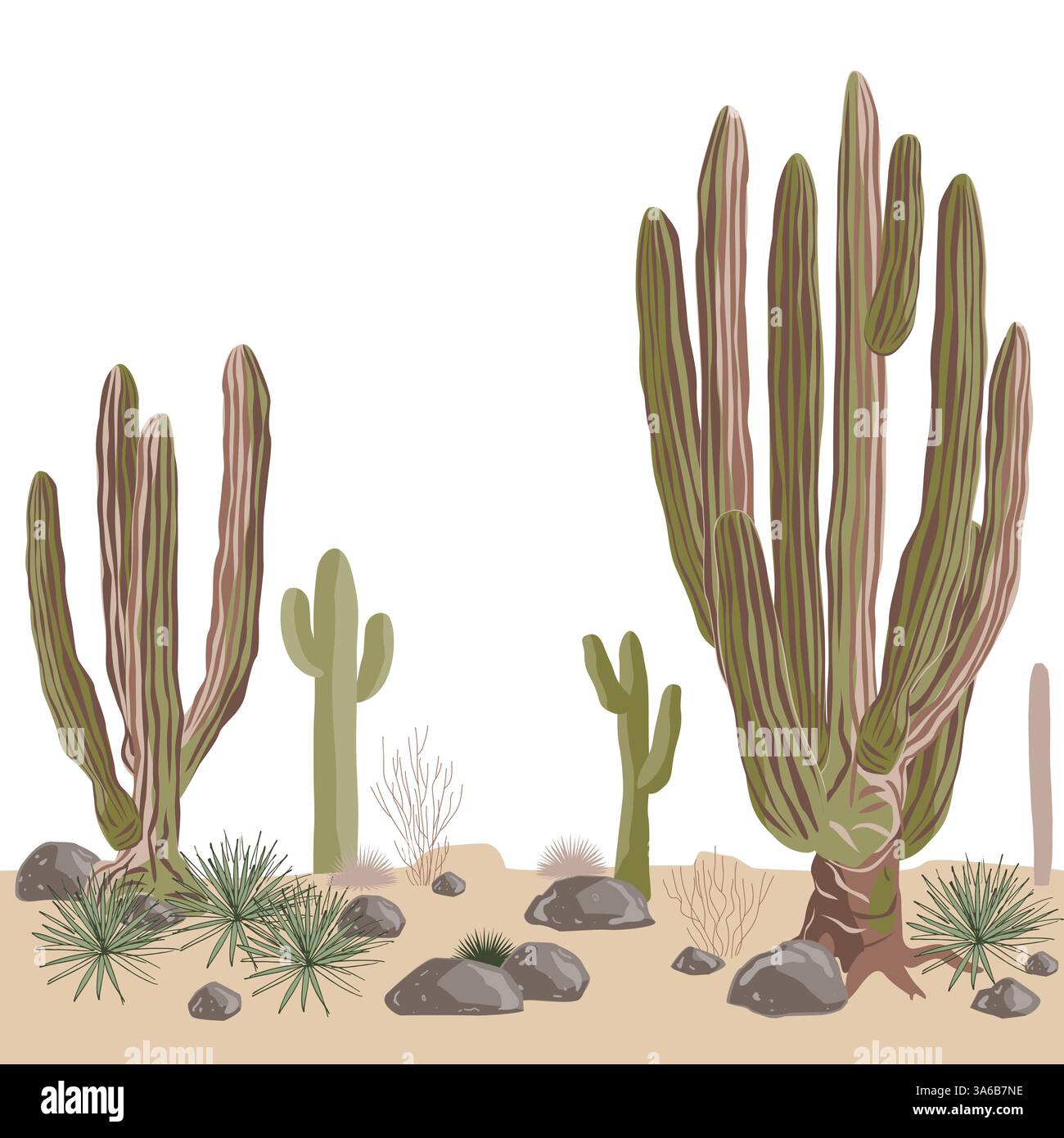 Desert seamless pattern with saguaro and giant cardon cacti. Wild American West landscape ...