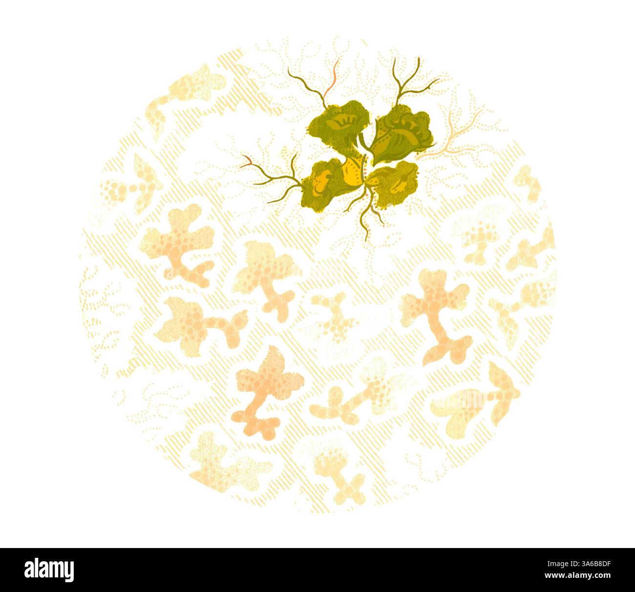 Subtle earth toned patterns hi-res stock photography and images - Alamy