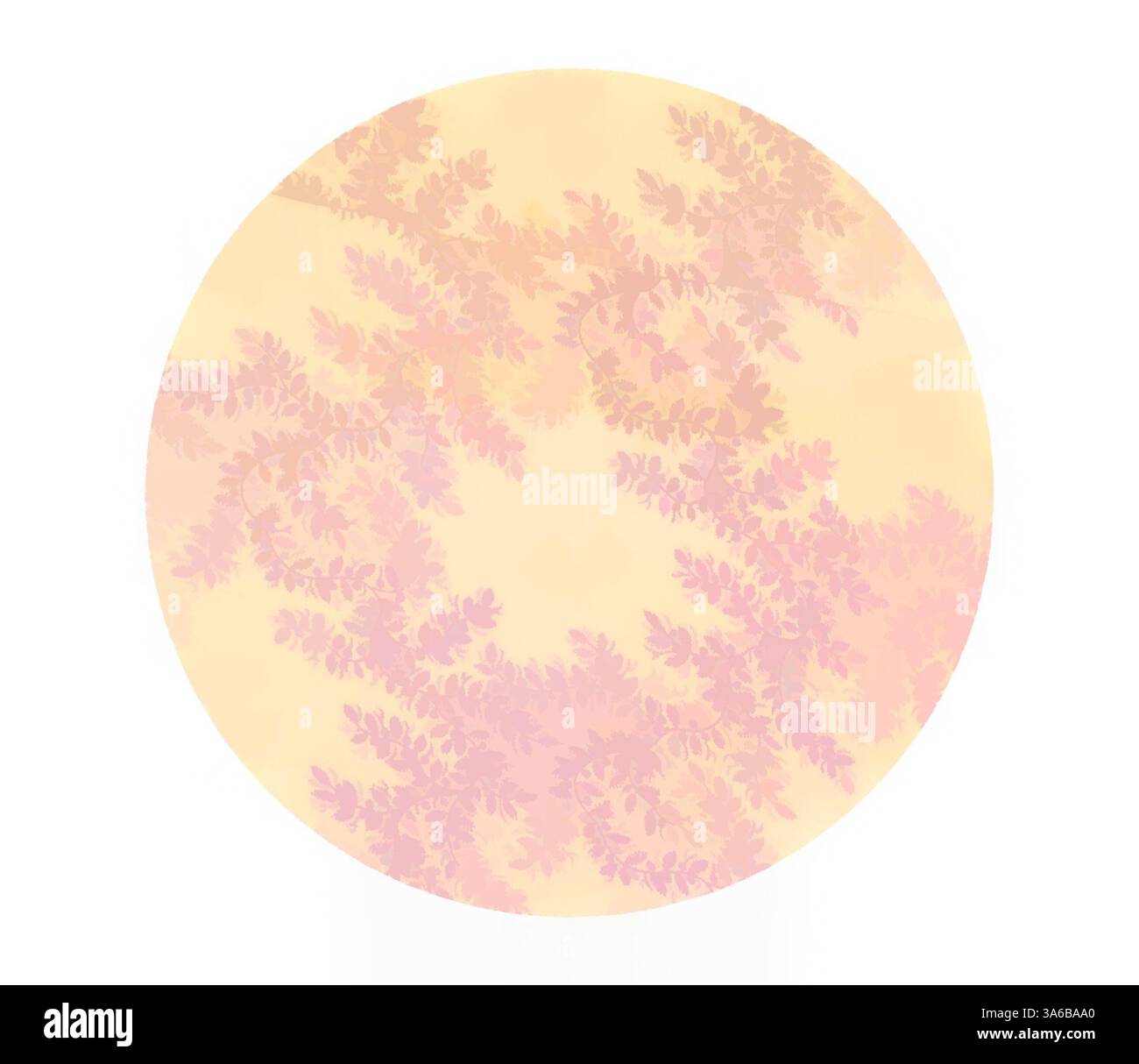 A soft, circular composition featuring delicate foliage, blending ...