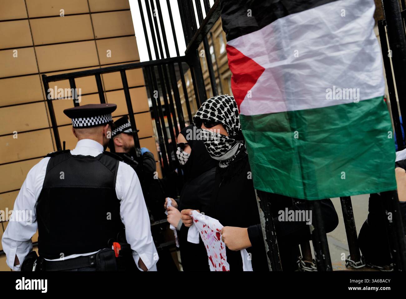 Pro-Palestinian activists block the entrance to University College ...
