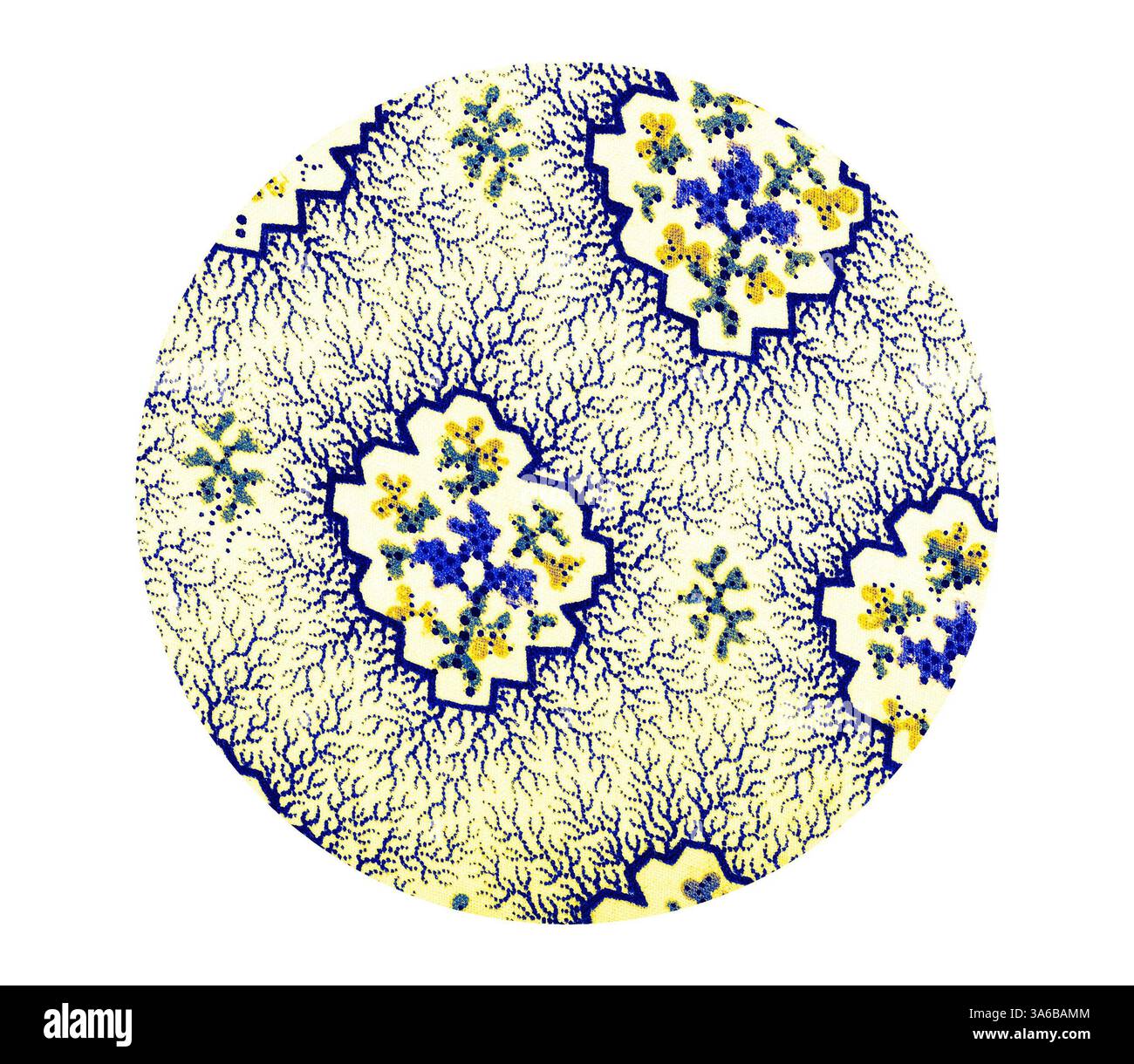 A circular pattern featuring intricate floral motifs in shades of blue ...