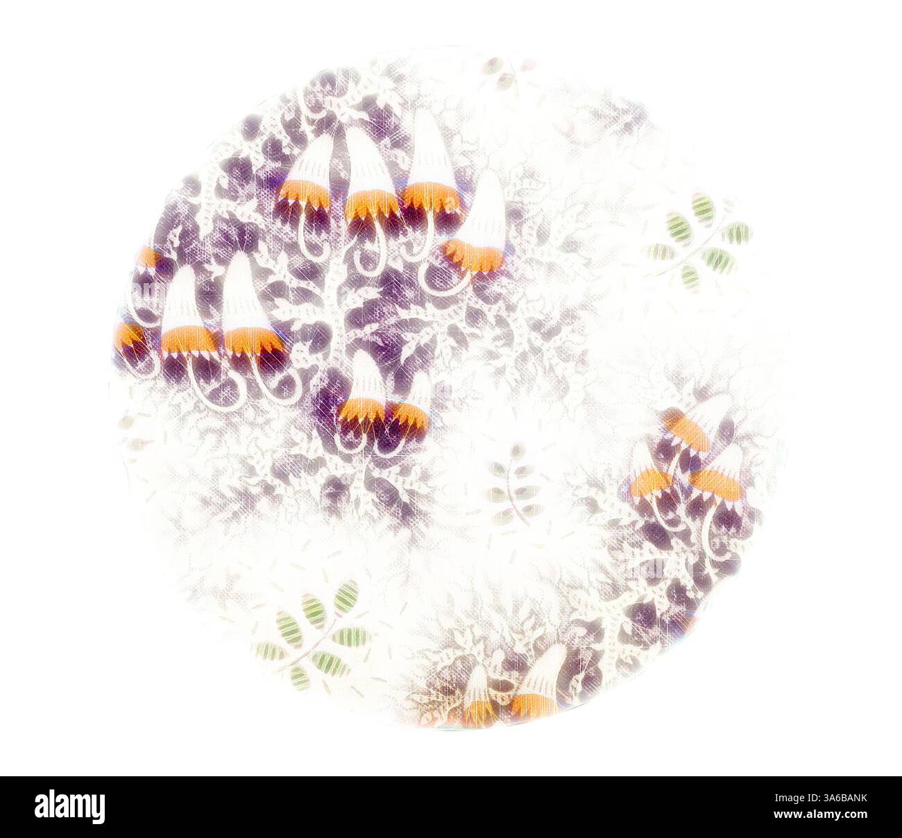 Dreamlike pattern features hi-res stock photography and images - Alamy