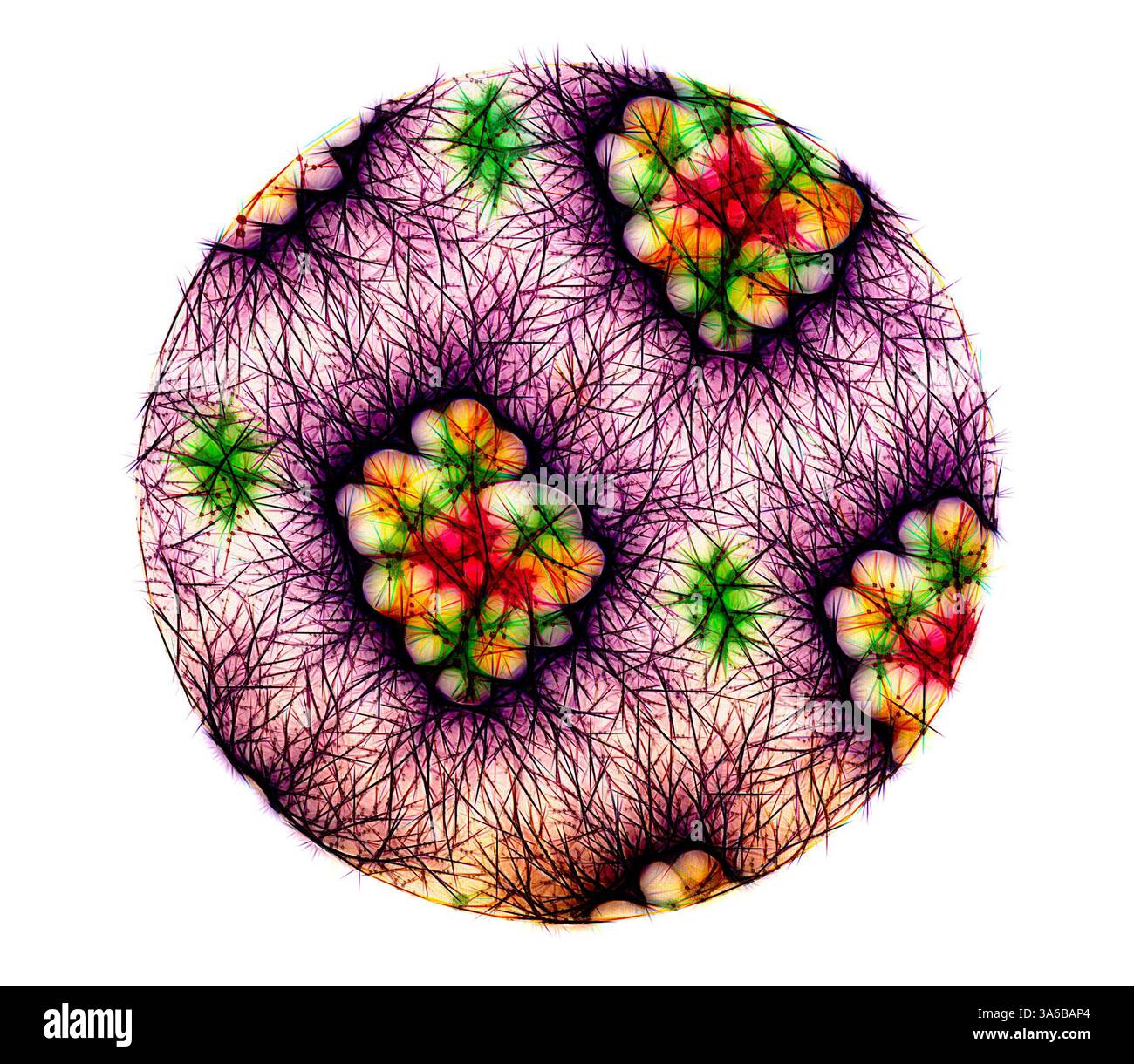 An intricate pattern of colorful, organic shapes interwoven with fine ...