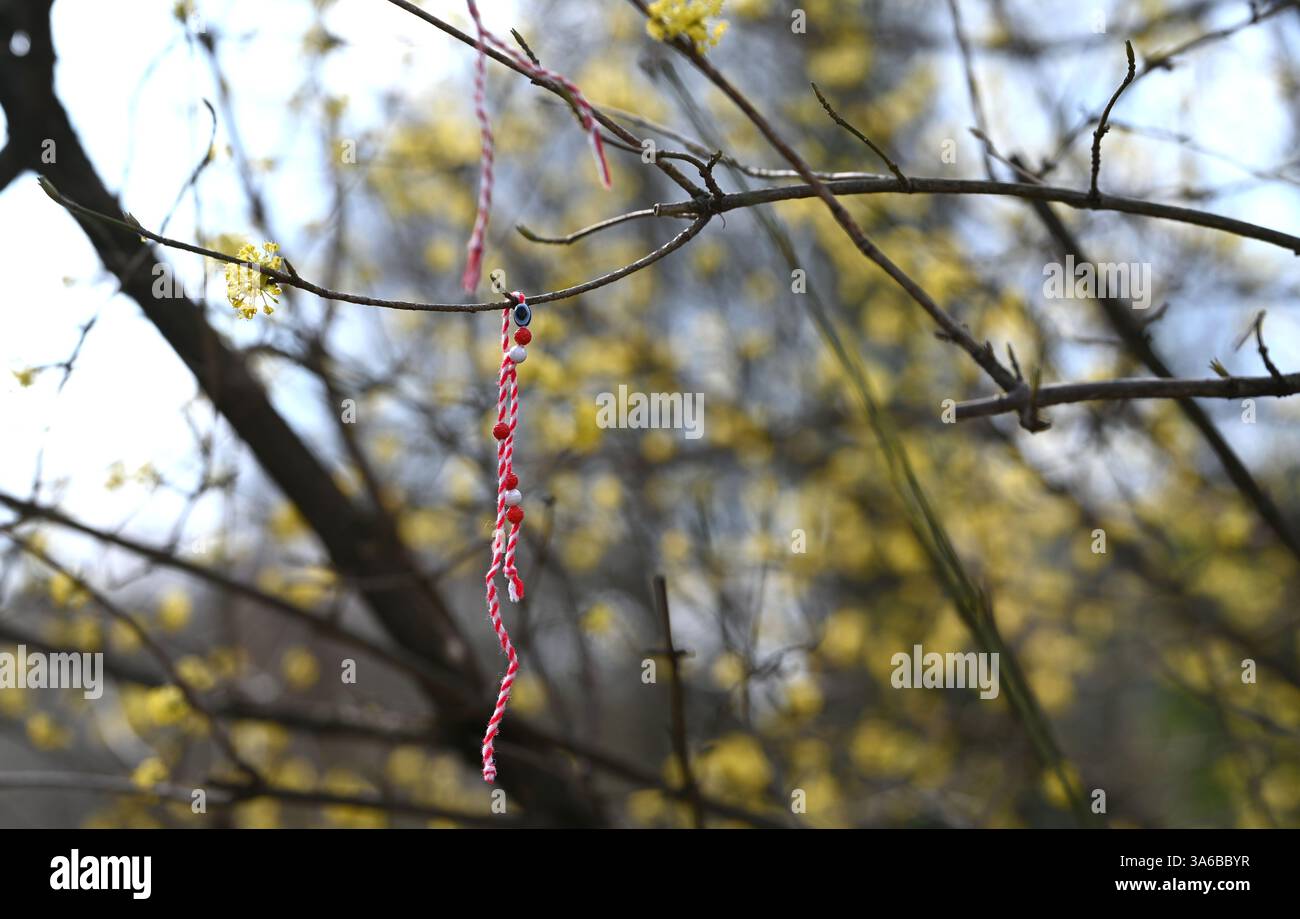 Munich, Germany. 25th Mar, 2025. A "Martaki" ribbon hangs from a ...