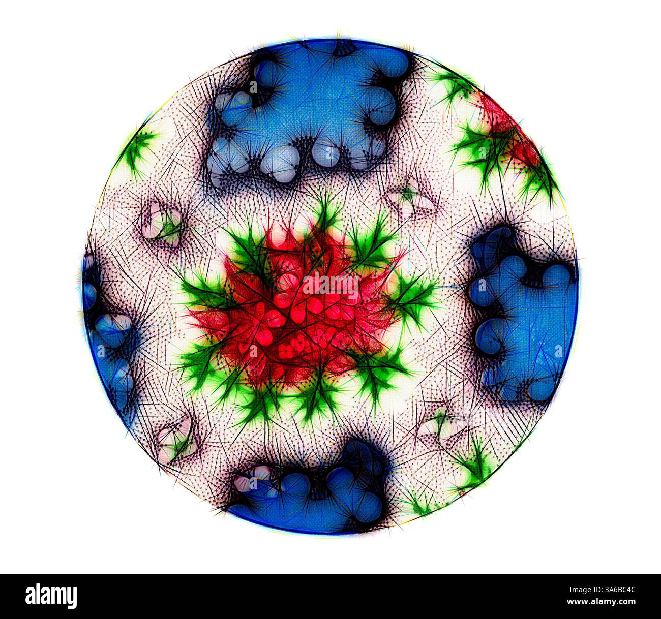 Featuring delicate spiky textures hi-res stock photography and images ...