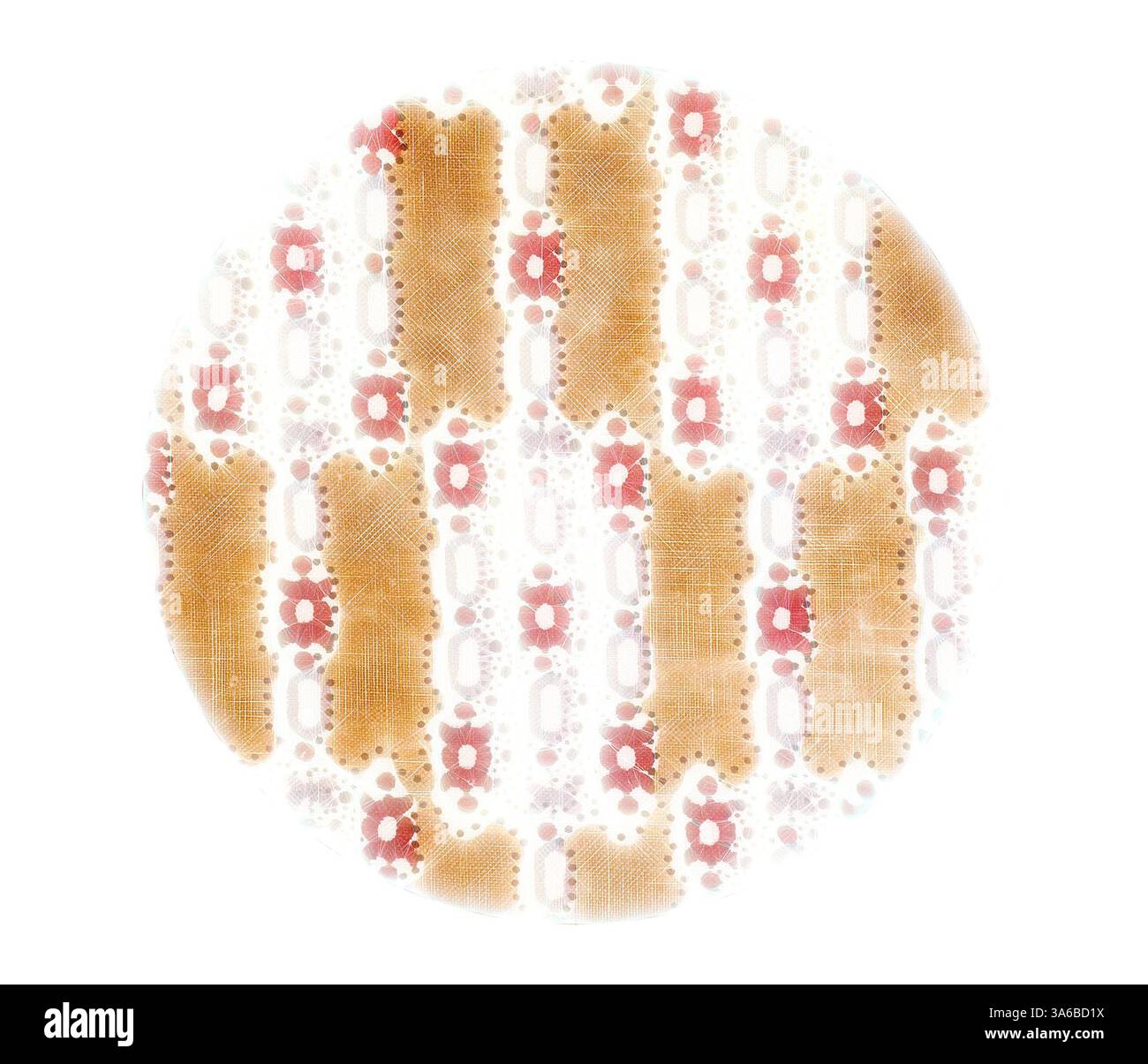 Alternating stripes of floral motifs hi-res stock photography and ...