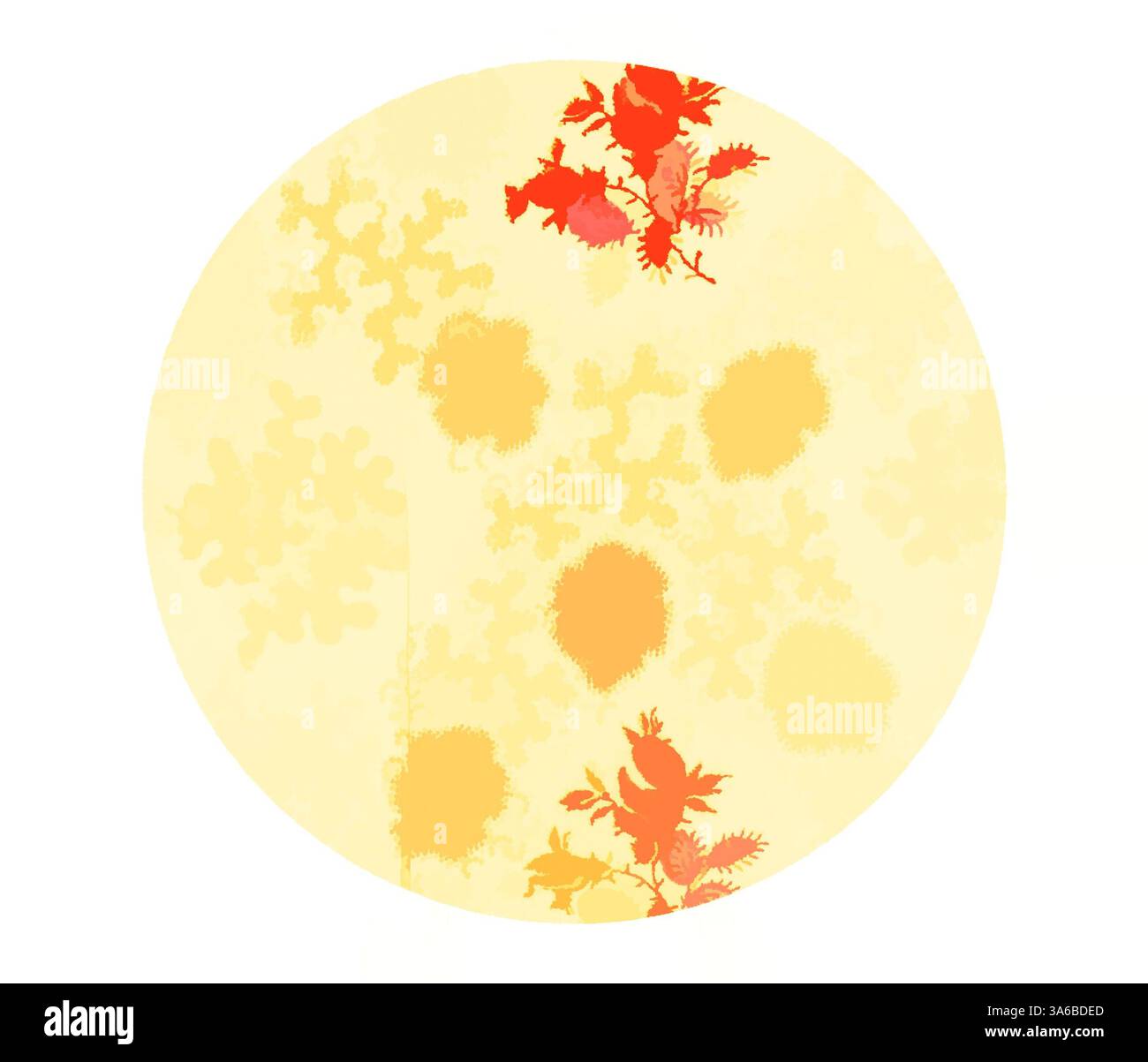 Overlapping patterns in warm hues of orange hi-res stock photography ...