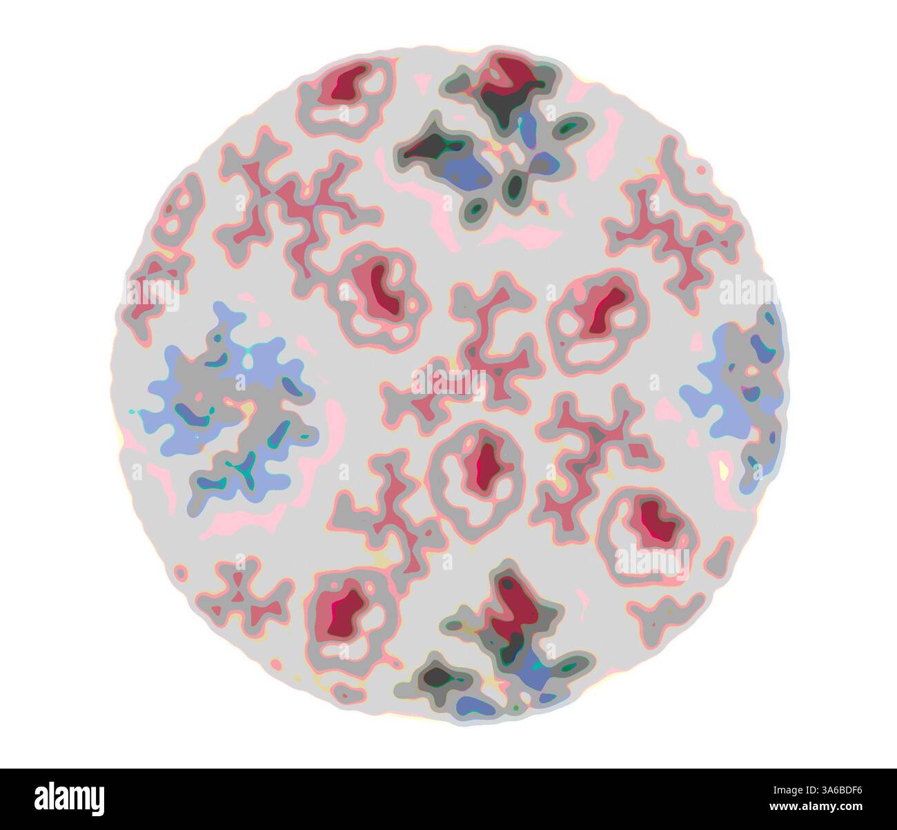 Microscopic views of cellular structures hi-res stock photography and ...