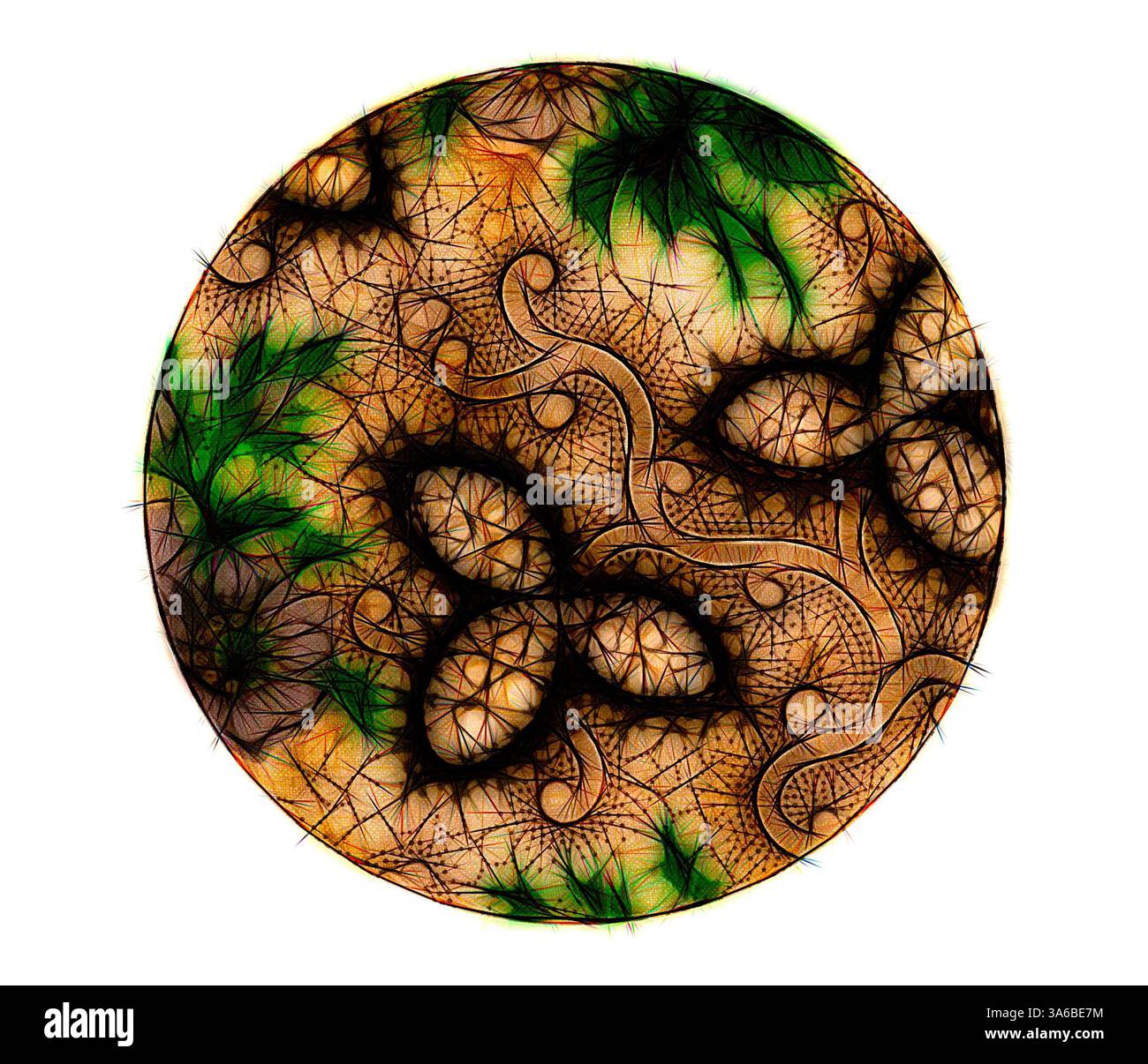 A circular design featuring intricate patterns of leaves and floral ...