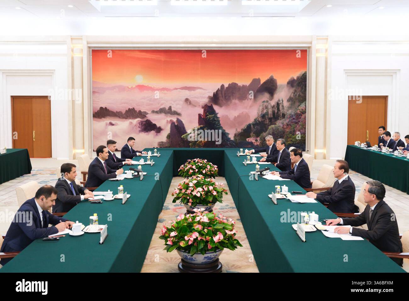Beijing, China. 25th Mar, 2025. Wang Huning, a member of the Standing ...