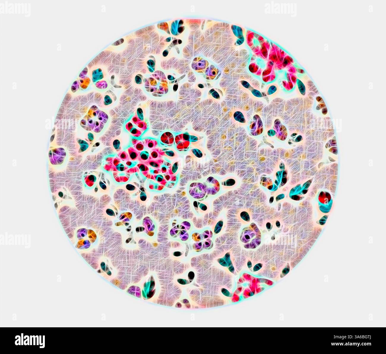 Abstract representation of microscopic cell structures hi-res stock ...