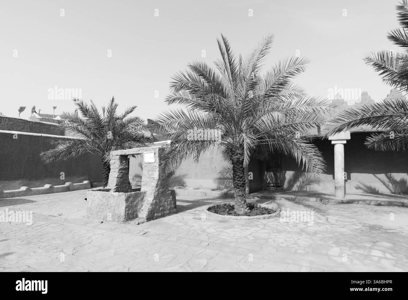 Public place with palm trees and renovated houses in the traditional ...
