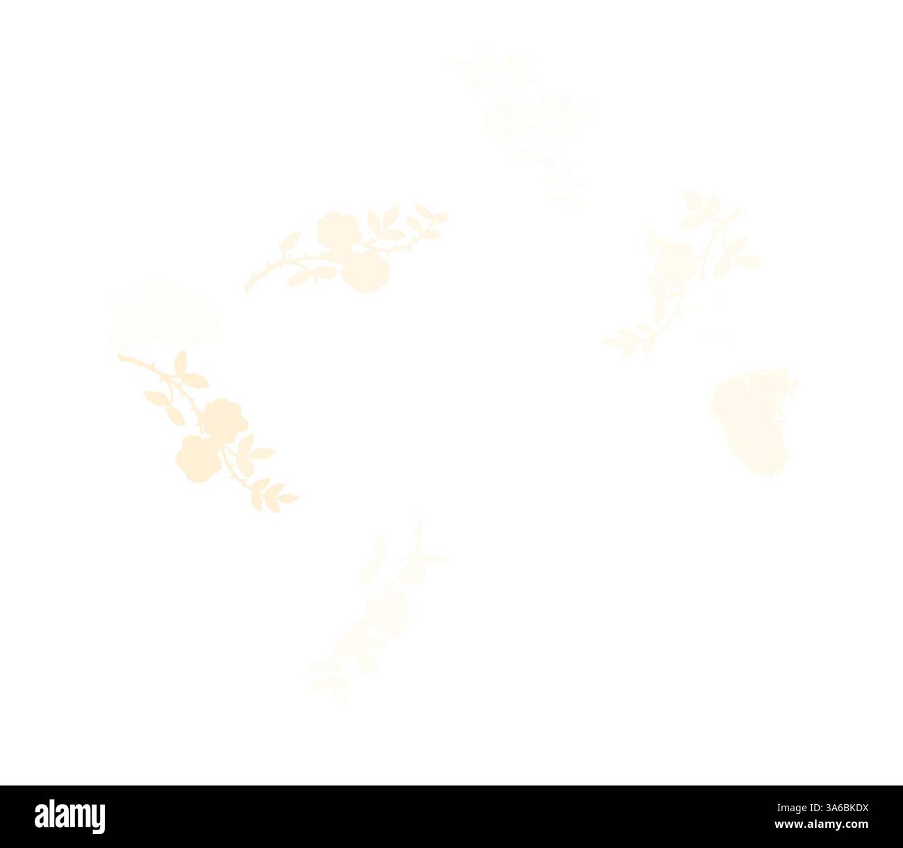 Featuring subtle outlines of roses hi-res stock photography and images ...