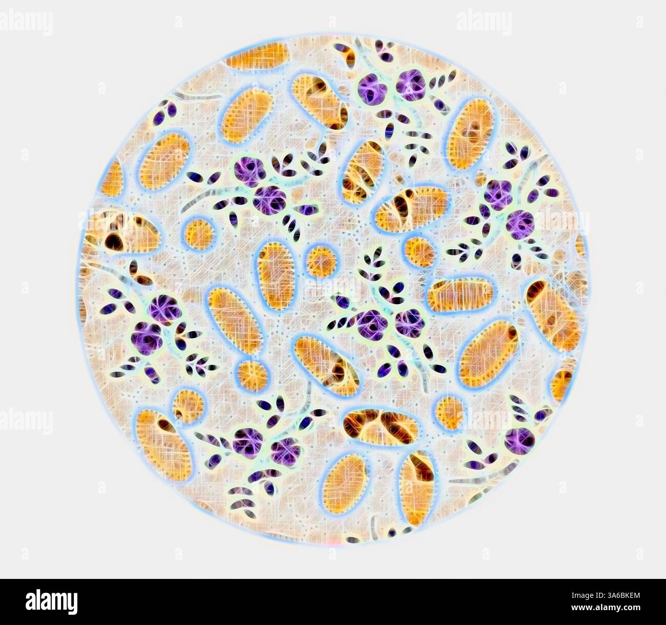 A vibrant cellular structure showcasing various shapes and colors, with ...