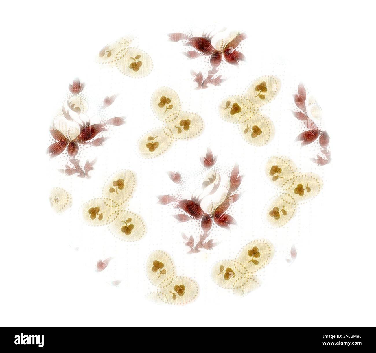 Butterfly motifs in soft hues of cream hi-res stock photography and ...