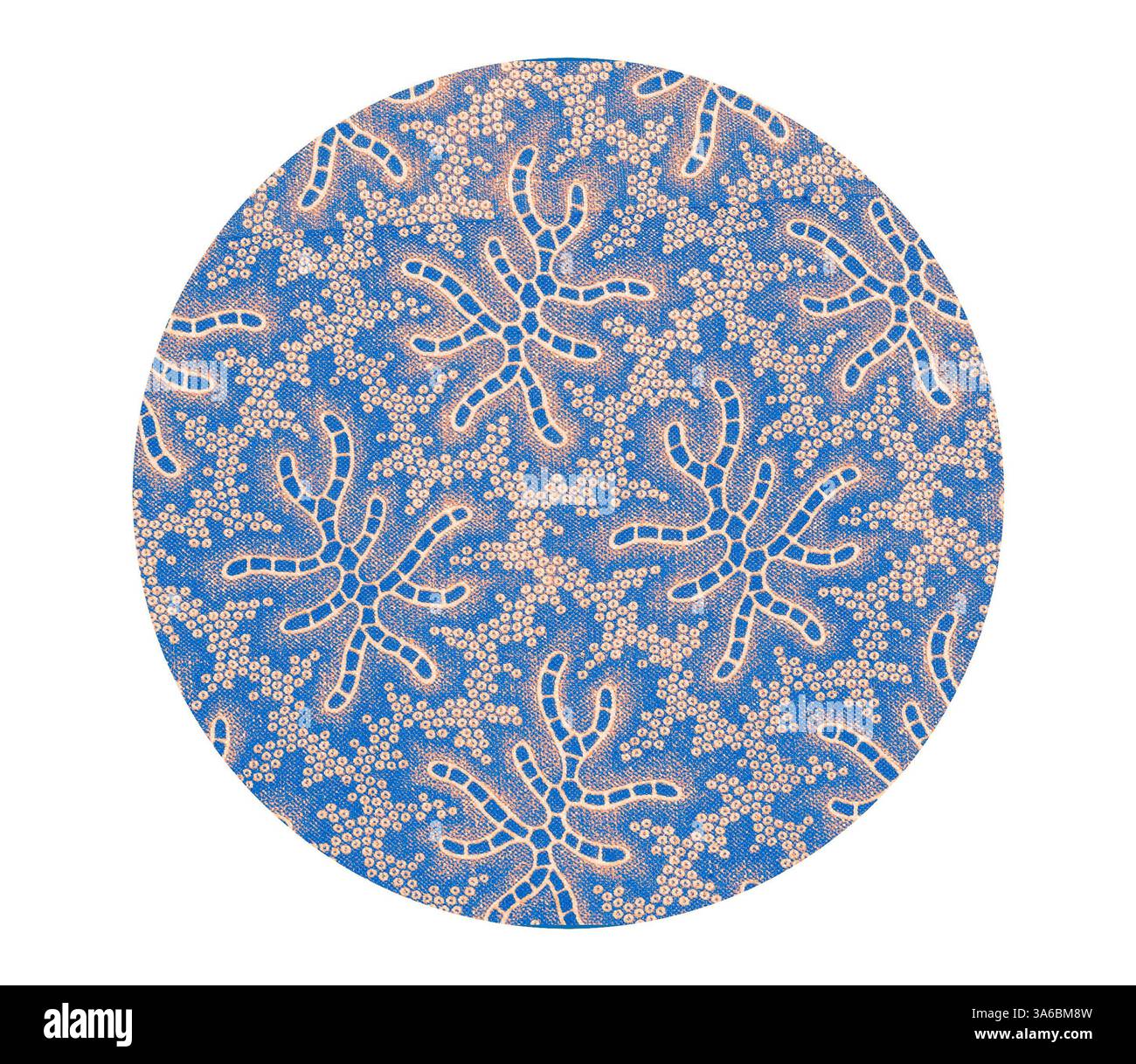 Striking combination of marine inspired design hi-res stock photography ...