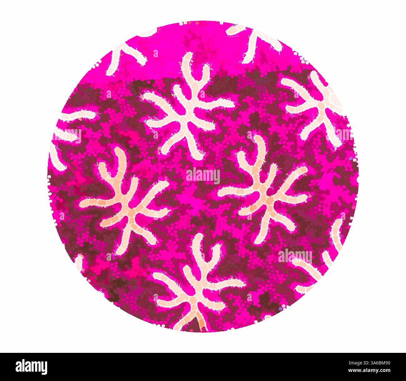 Vibrant pattern of intertwined shapes Cut Out Stock Images & Pictures ...